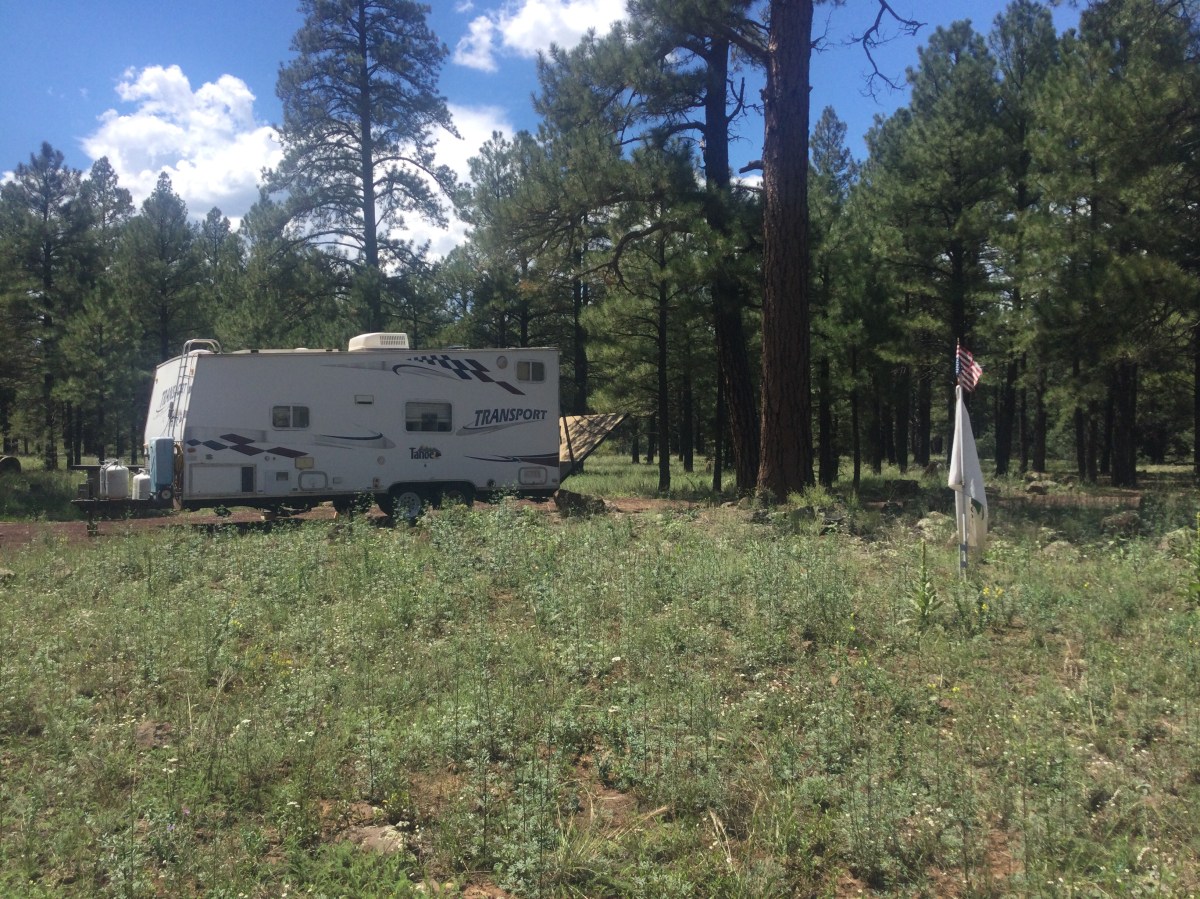 Canyon Vista Campground, Coconino National Forest, Arizona | Journal of ...